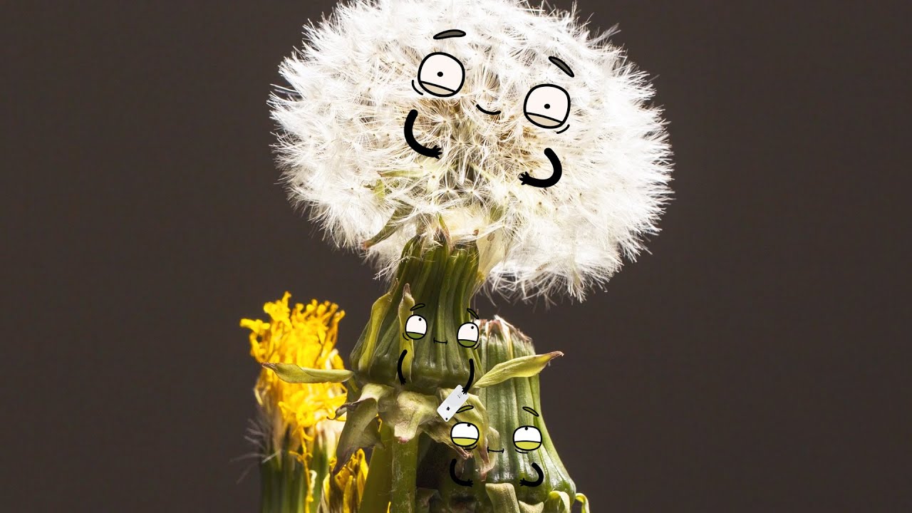 The Circle of life | Cute doodles by Ricky - YouTube