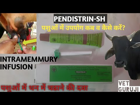 Pendistrin-SH का उपयोग पशुओं में कैसे व कब करें? सम्पूर्ण जानकारी। Vet ...