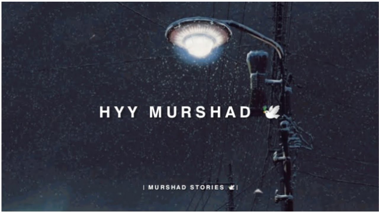 Murshad sad dialogue status 😌💔🥀 | sad status | best status | Murshad ...