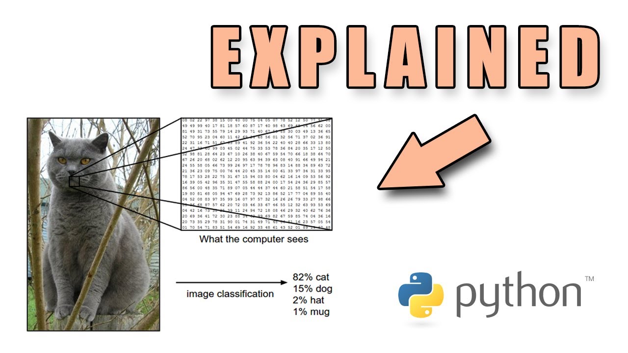 How To Classify Images With Machine Learning In Python Youtube