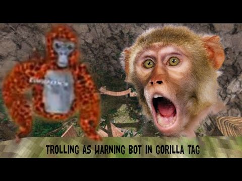 Trolling as Warning Bot in Gorilla Tag - YouTube