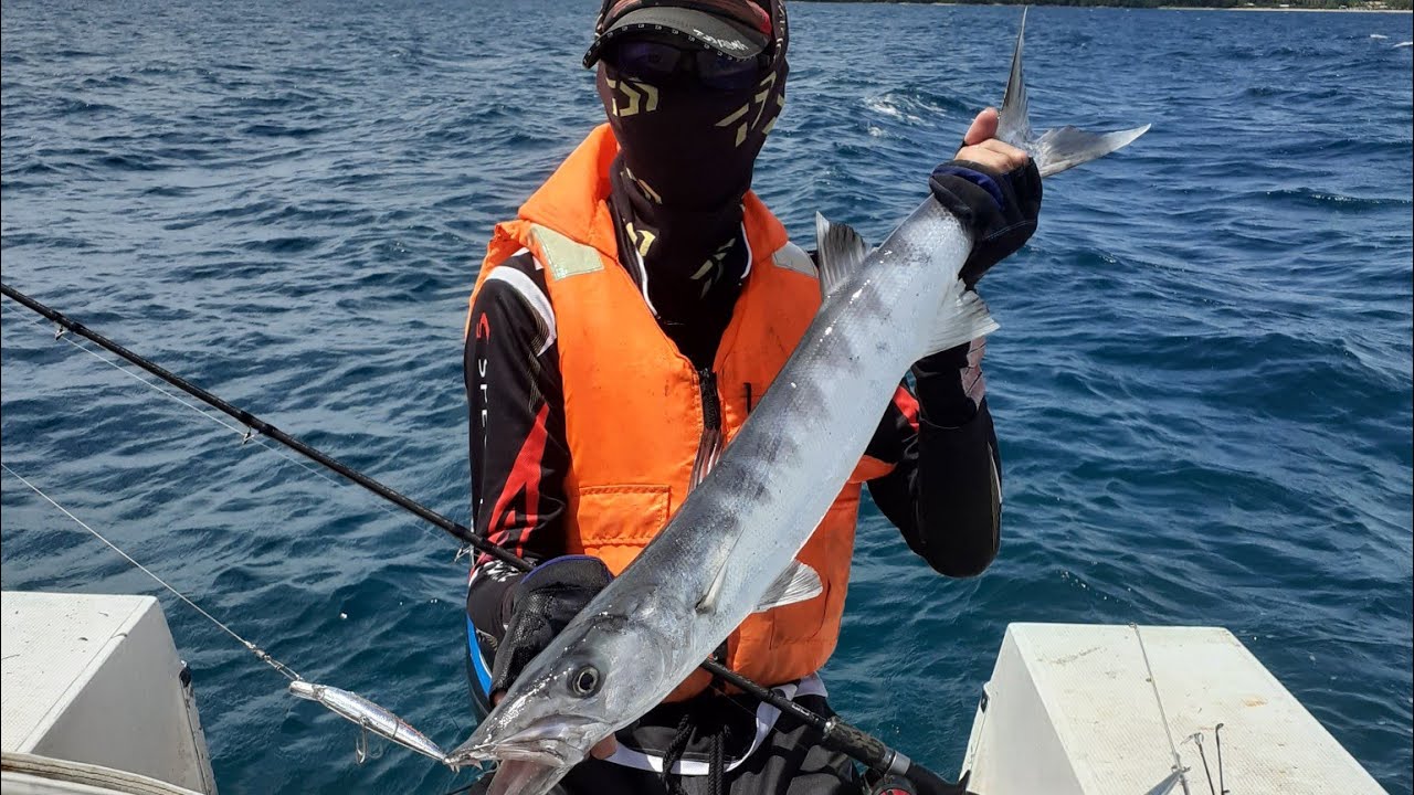 Eupro Channa Killer & Ajiking Boxster BX418R vs Barracudas (Popping and ...