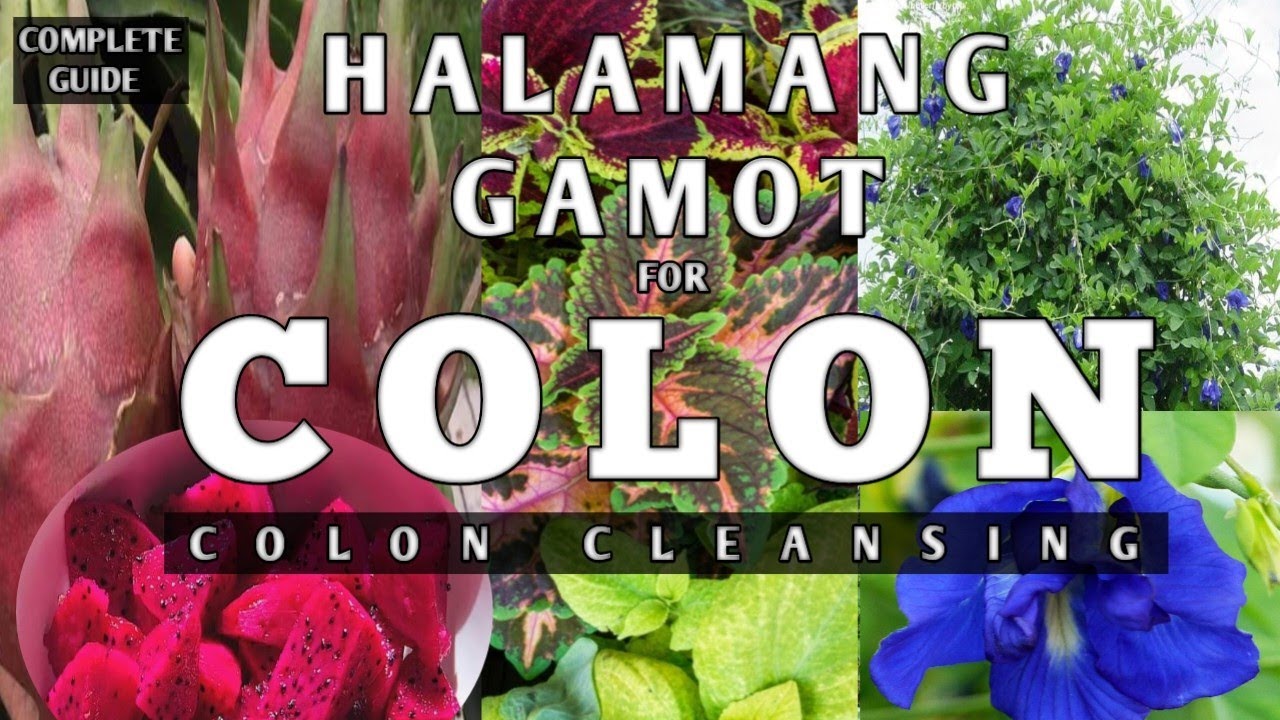 COLON CLEANSE HALAMANG GAMOT || NATURER || Homefoodgarden - YouTube