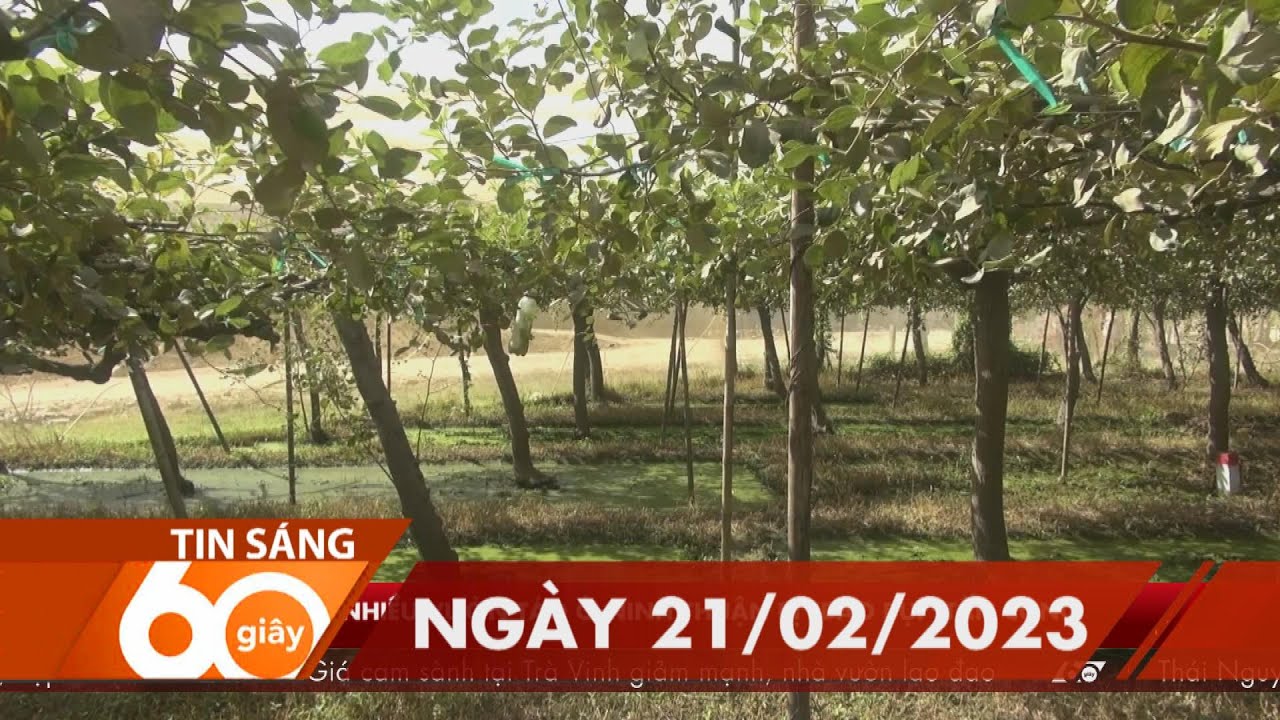 60 Giây Sáng - Ngày 21/02/2023 | HTV Tin tức - YouTube