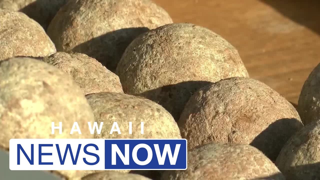 Ala Wai Canal’s water quality is improving — one ‘genki ball’ at a time ...