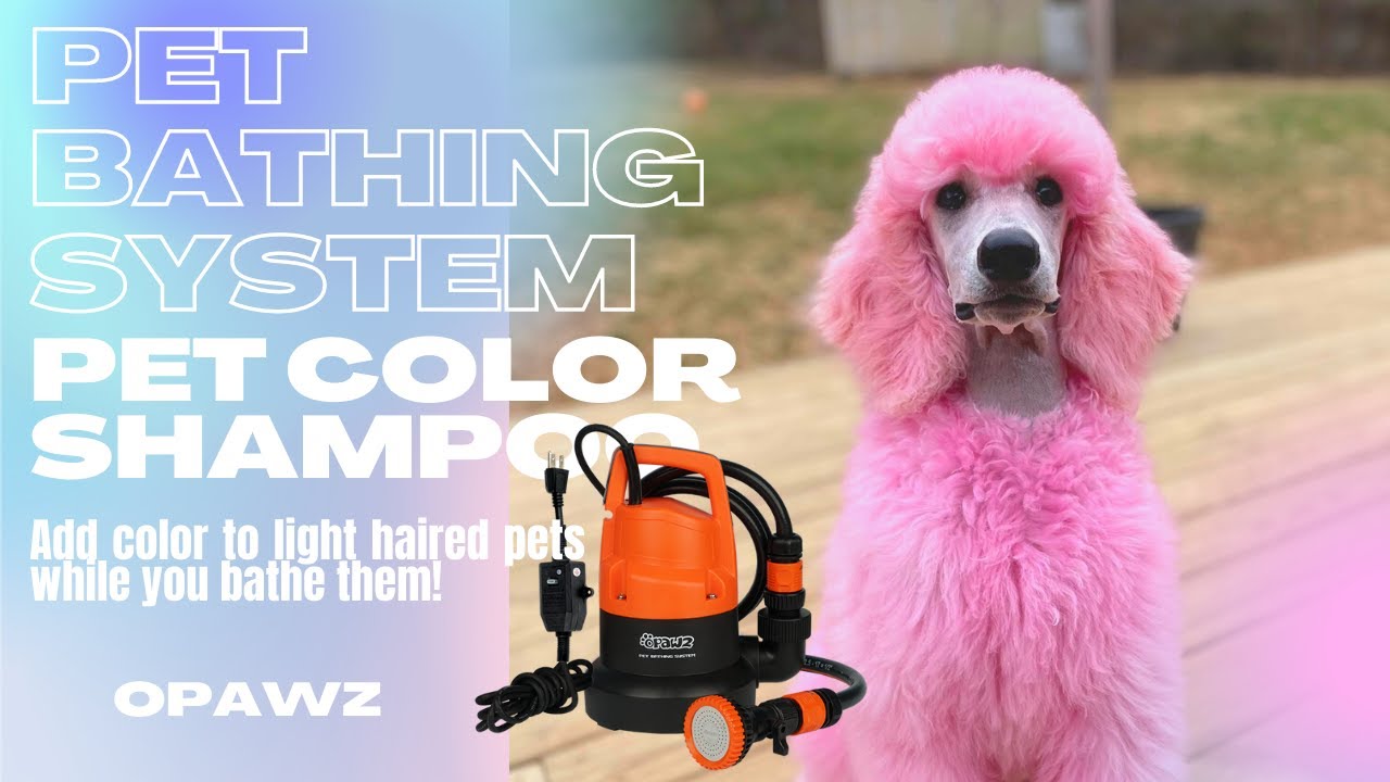 OPAWZ Dog Bathing Machine & Pet Color Shampoo For Pet Grooming - YouTube