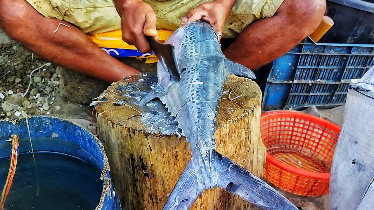 Amazing Seer Fish Cutting Skills By Expert Fish Cutter Man - YouTube