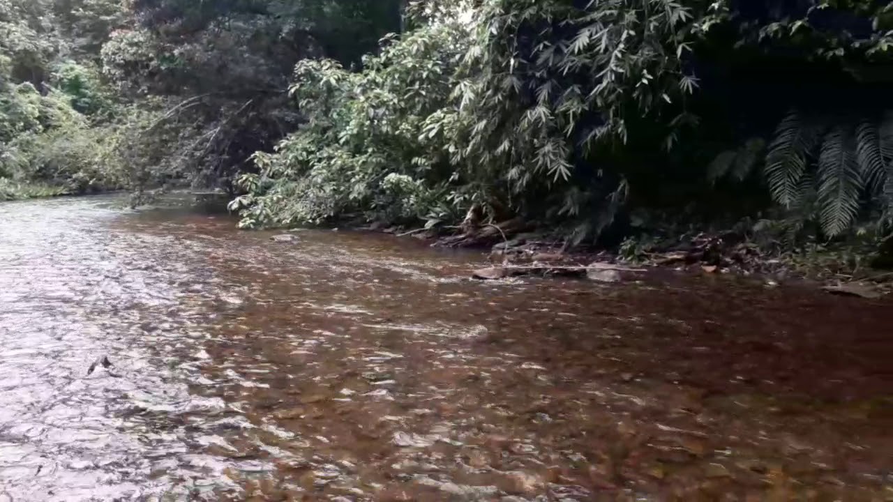 Dediyagala (දෙදියගල) - YouTube