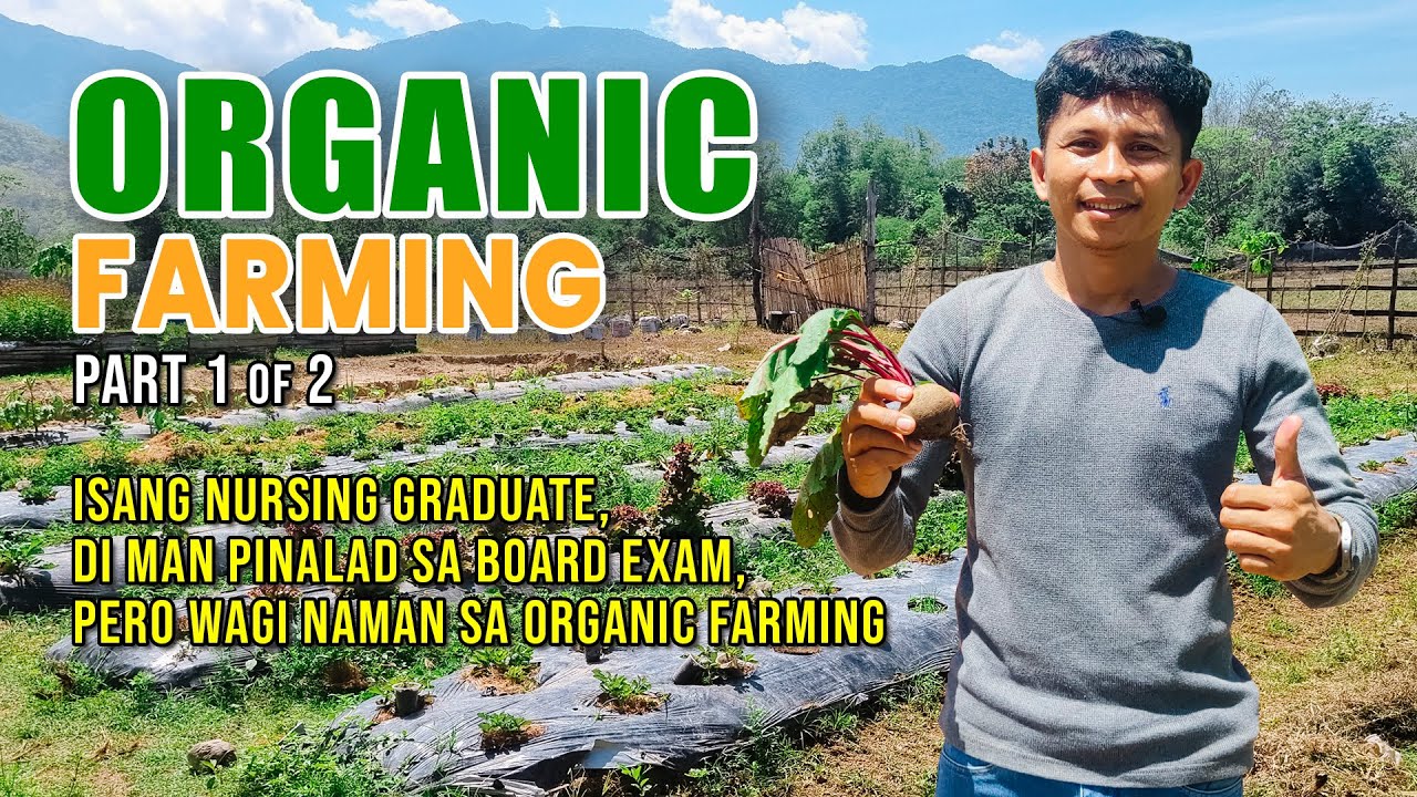 ORGANIC FARMING: ISANG NURSING GRAD, DI MAN PINALAD SA BOARD EXAM, WAGI ...