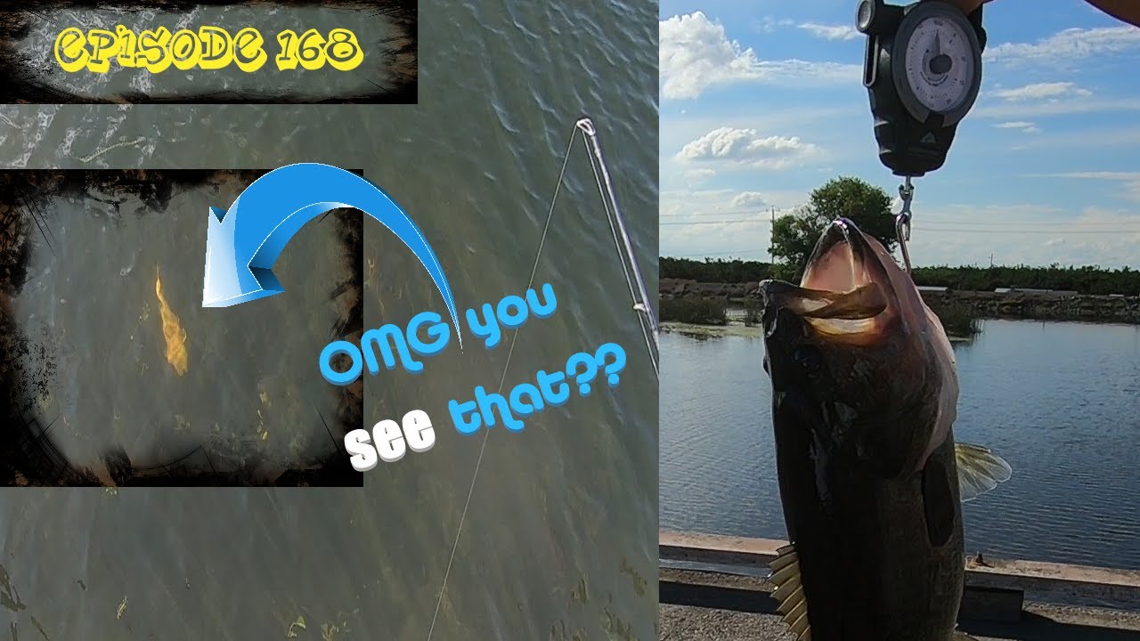 Sweet day Red Ear & Bluegill fishing! With some INTERESTING surprises ...