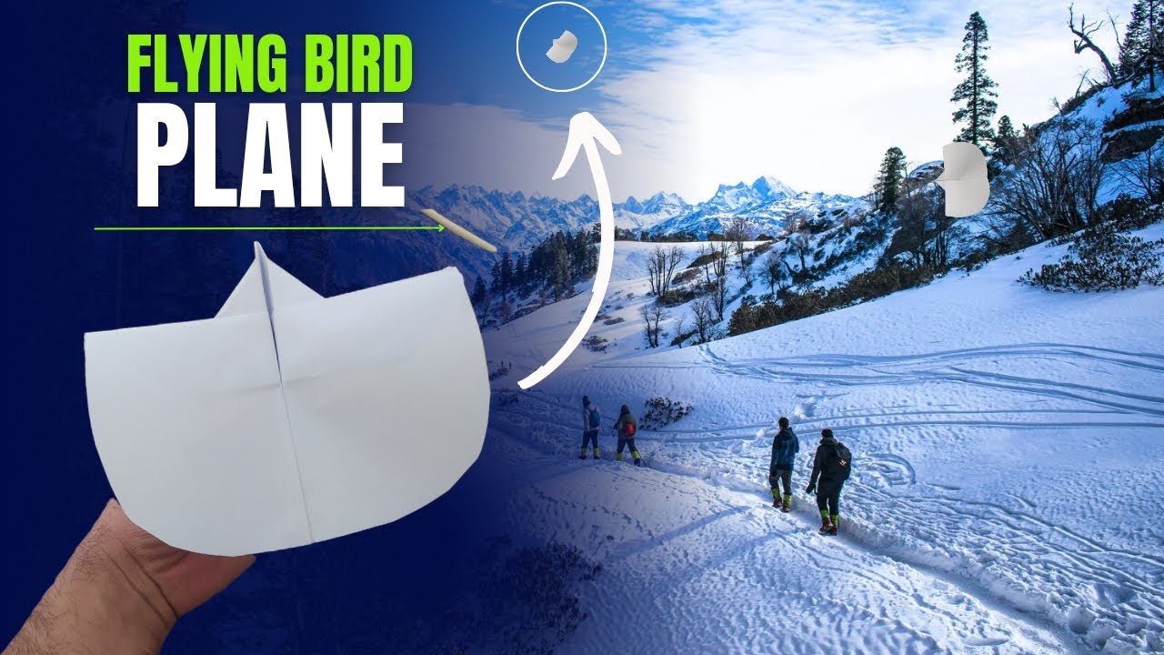 Best Flying Bird Plane #plane #birdplane - YouTube