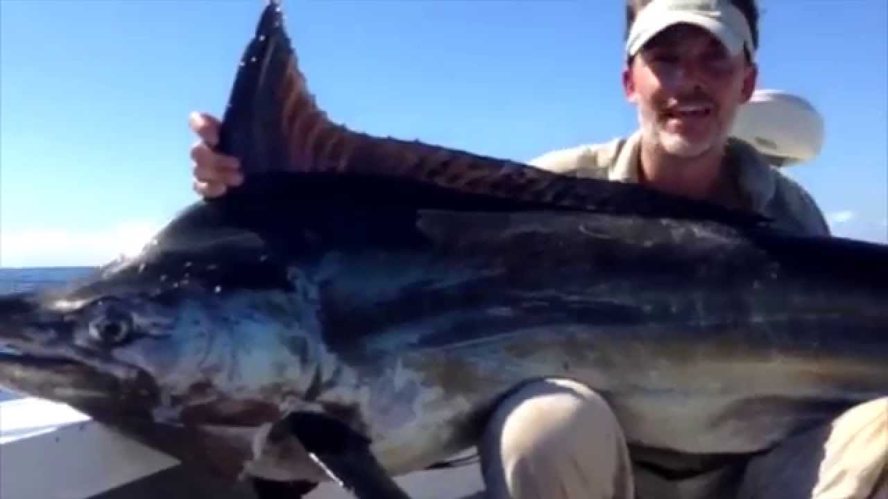 100kg Black Marlin - YouTube