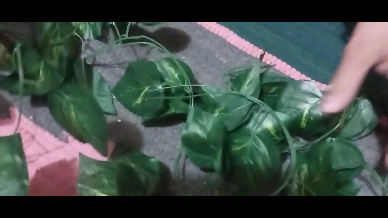 artificial garland of money plant #Meesho - YouTube