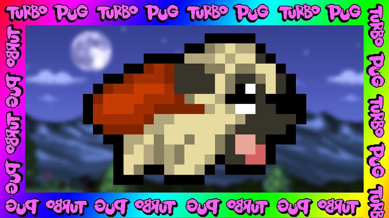 ENDLESS PUGS | Turbo Pug - YouTube
