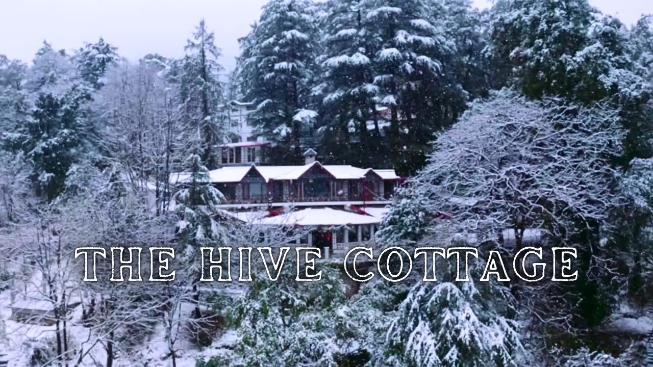 The Hive Cottage || Best Resort In Nainital || Full Review - YouTube