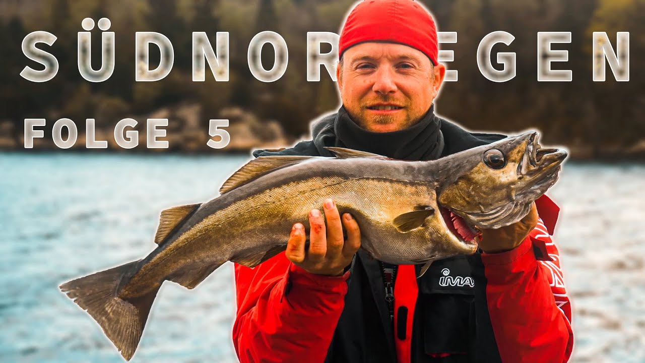 Fishing in Norway. My record Pollack! | Vlog 5 - YouTube