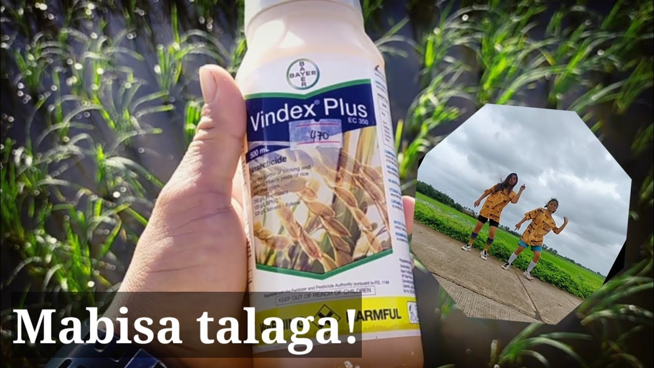 Vendex Mabisang pang Insecto@mr.angofficial2445 - YouTube