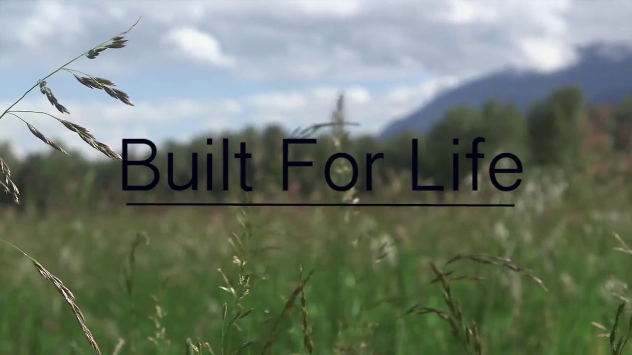 Built For Life - YouTube