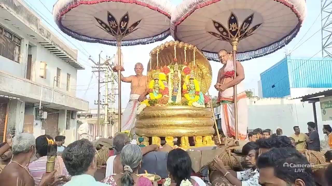 Sholinghur Arulmigu Lashmi Narasimha swamy Temple's broadcast - YouTube