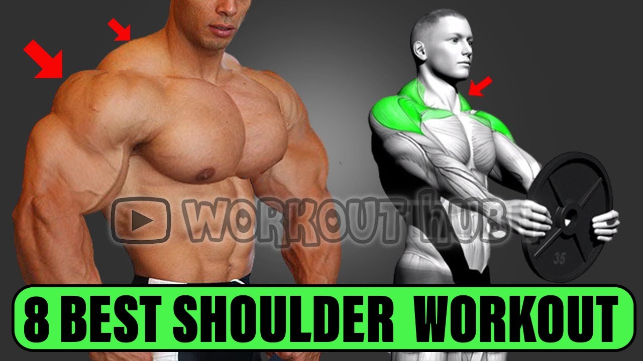 Shoulder Workout - 8 Complete Shoulder Workout for Boulder Shoulders ...