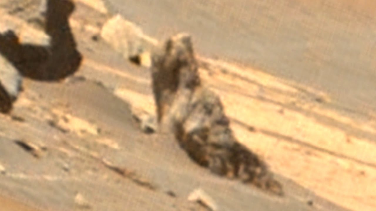 MARS Emperor King and Queen of Mars - YouTube