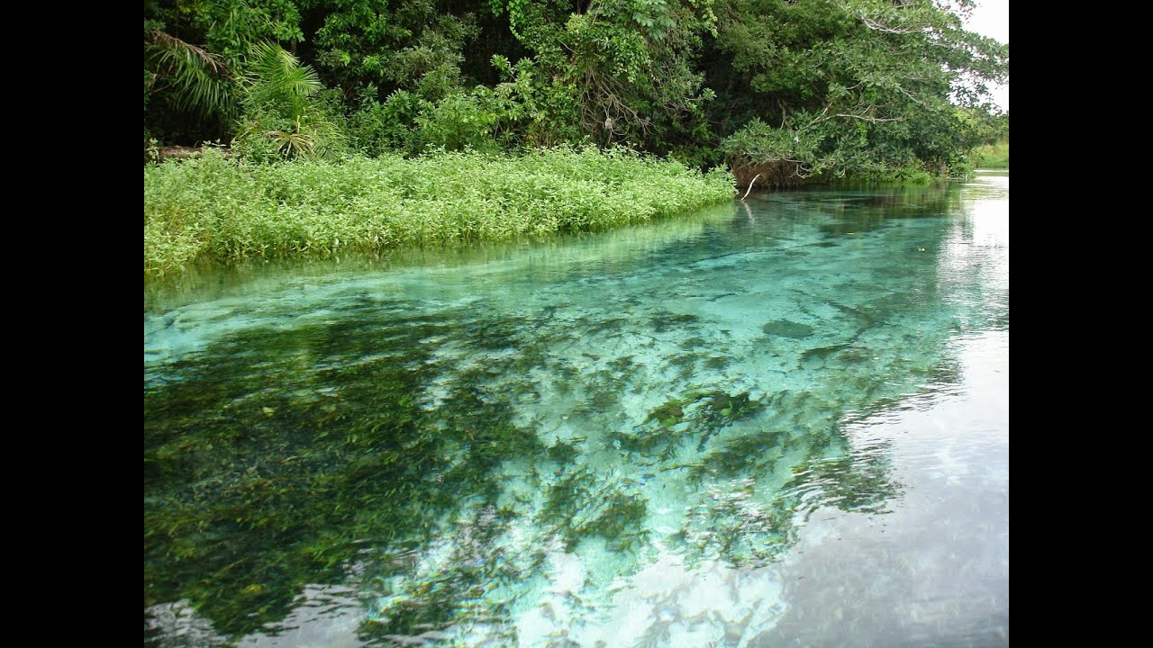 Fonte De Nascente Natural Rios Mata Atlatica | Agência Brasil