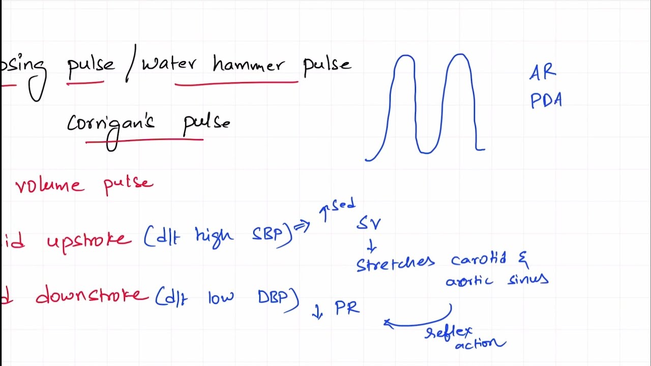 Types Of Arterial Pulse YouTube Types Of Arterial Pulse YouTube