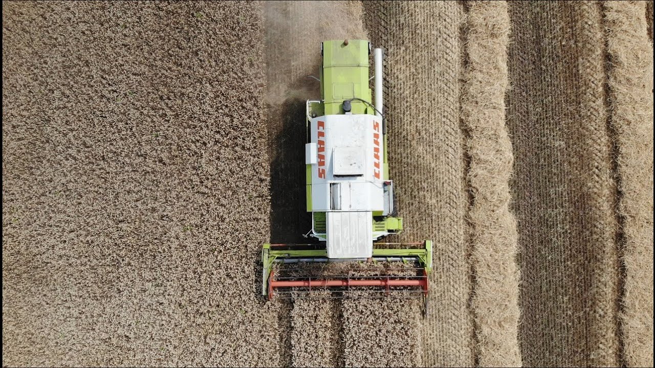 Graan oogsten in Westerwolde (drone video) - YouTube