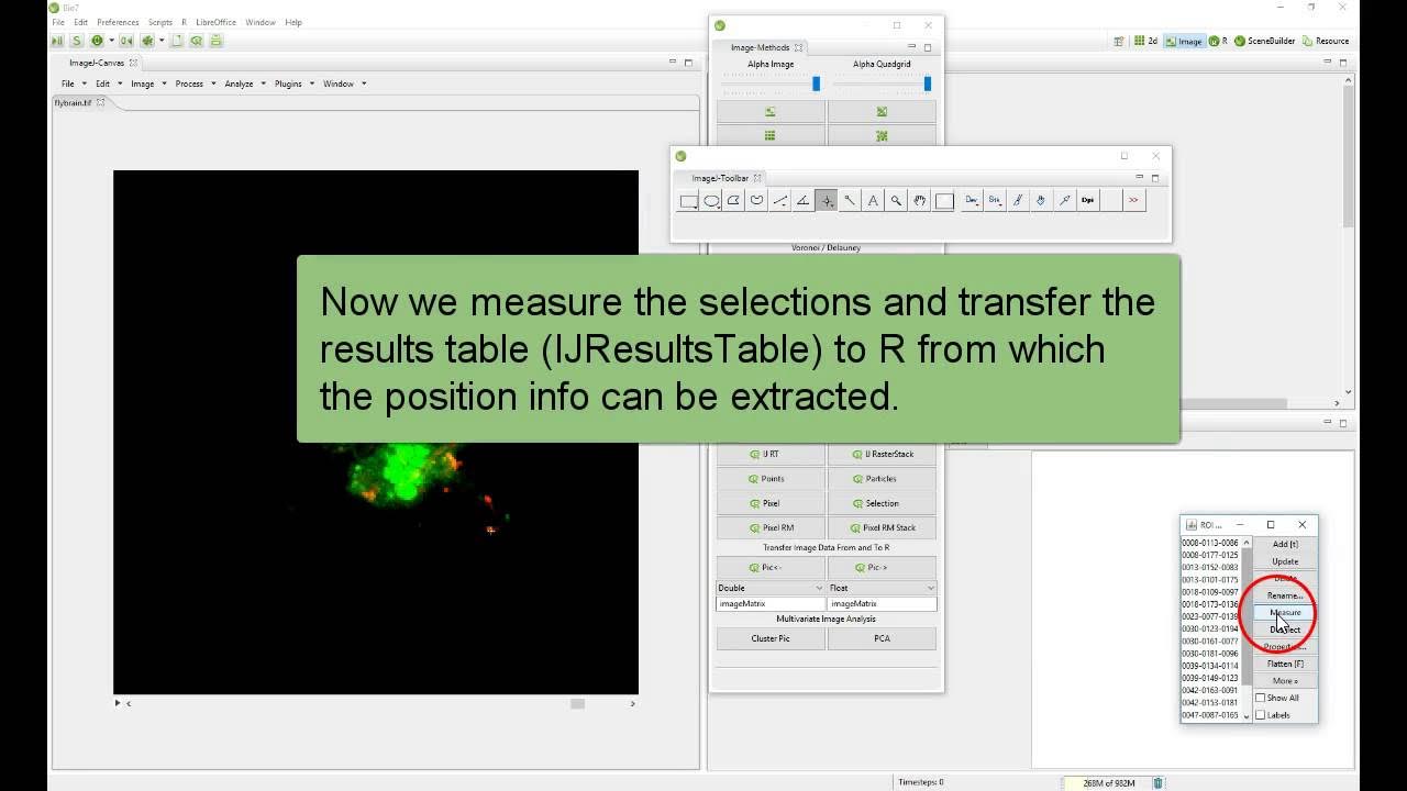 Create a Spatstat 3D Point Pattern from ImageJ Stack Sel. - YouTube