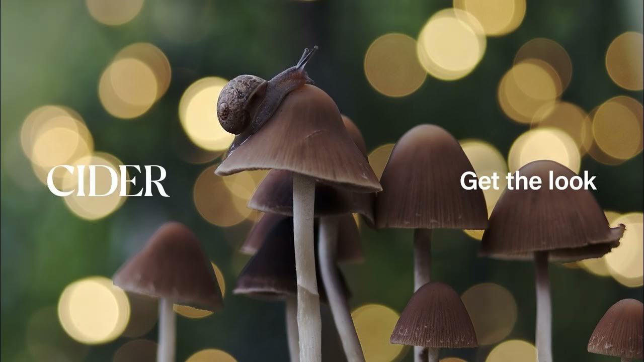 Feeling nostalgic? Relish in slow, simple moments with a matching look ...