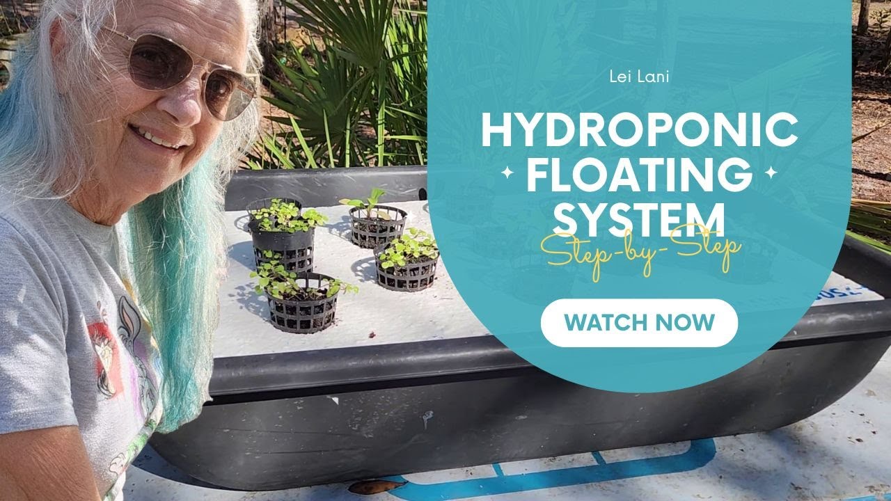How to create your own Floating Hydroponic System! - YouTube