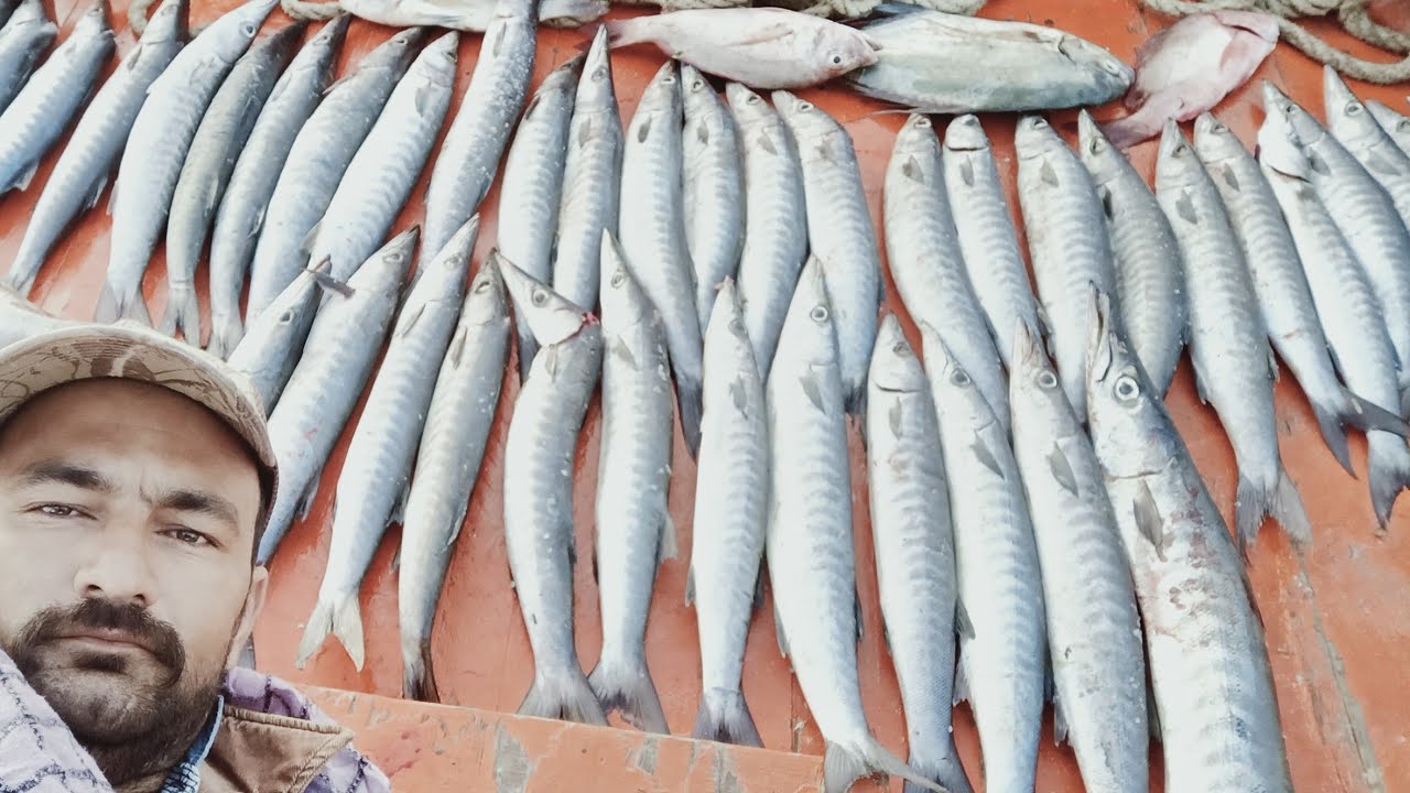 fishing in charna/deep sea fishing/kala jaam hay/barracuda fishing ...