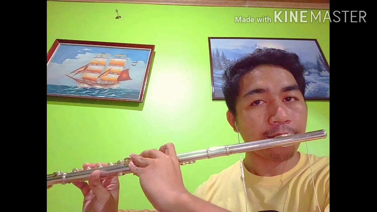 Still- Hillsong (Flute Cover) - YouTube