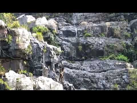 Talakona Falls - 40 kms from Tirupati - YouTube