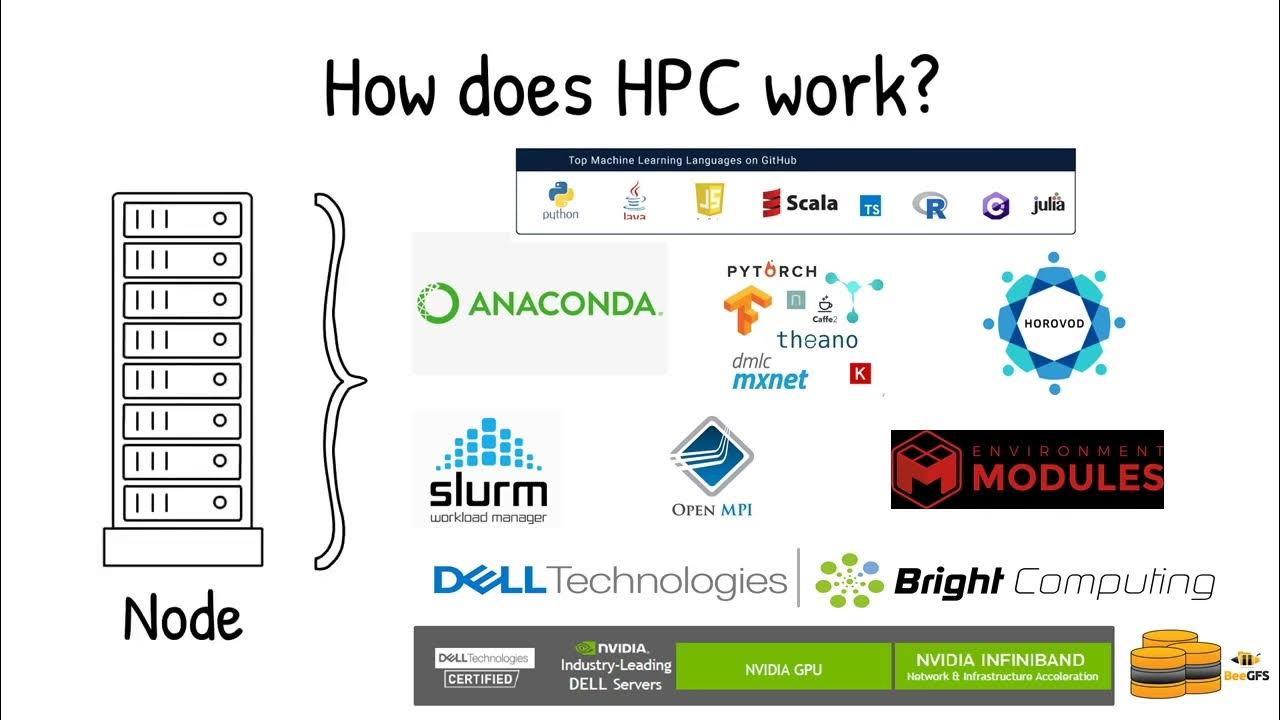LifeChamps HPC Tutorial - YouTube