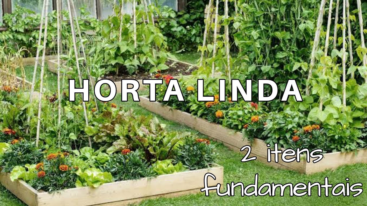 Horta linda? Você só precisa de 2 coisas fundamentais. - YouTube