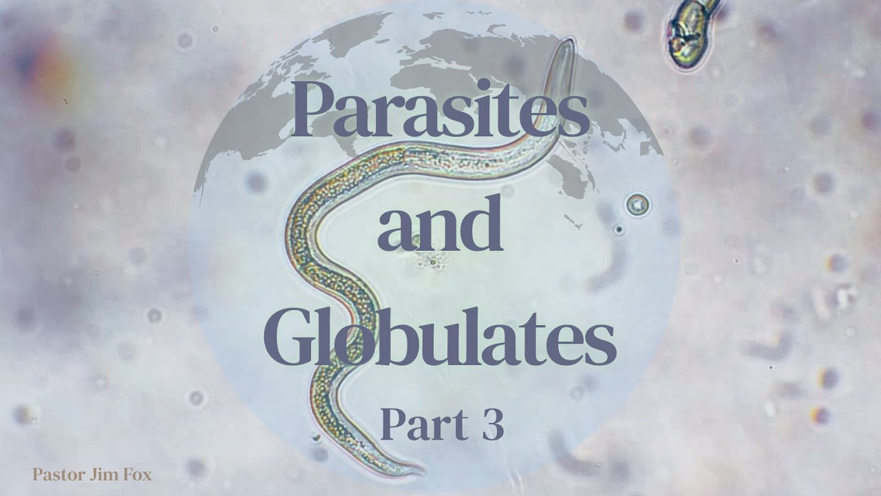 Parasites & Globulates | Pastor Jim Fox | 02.23.2025 - YouTube