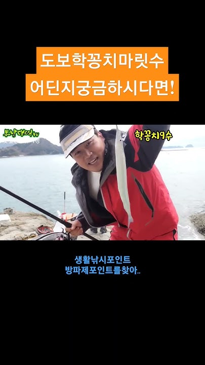 학꽁치쉽게잡는법 학꽁치 학꽁치회 낚시 부남대여tv Youtube