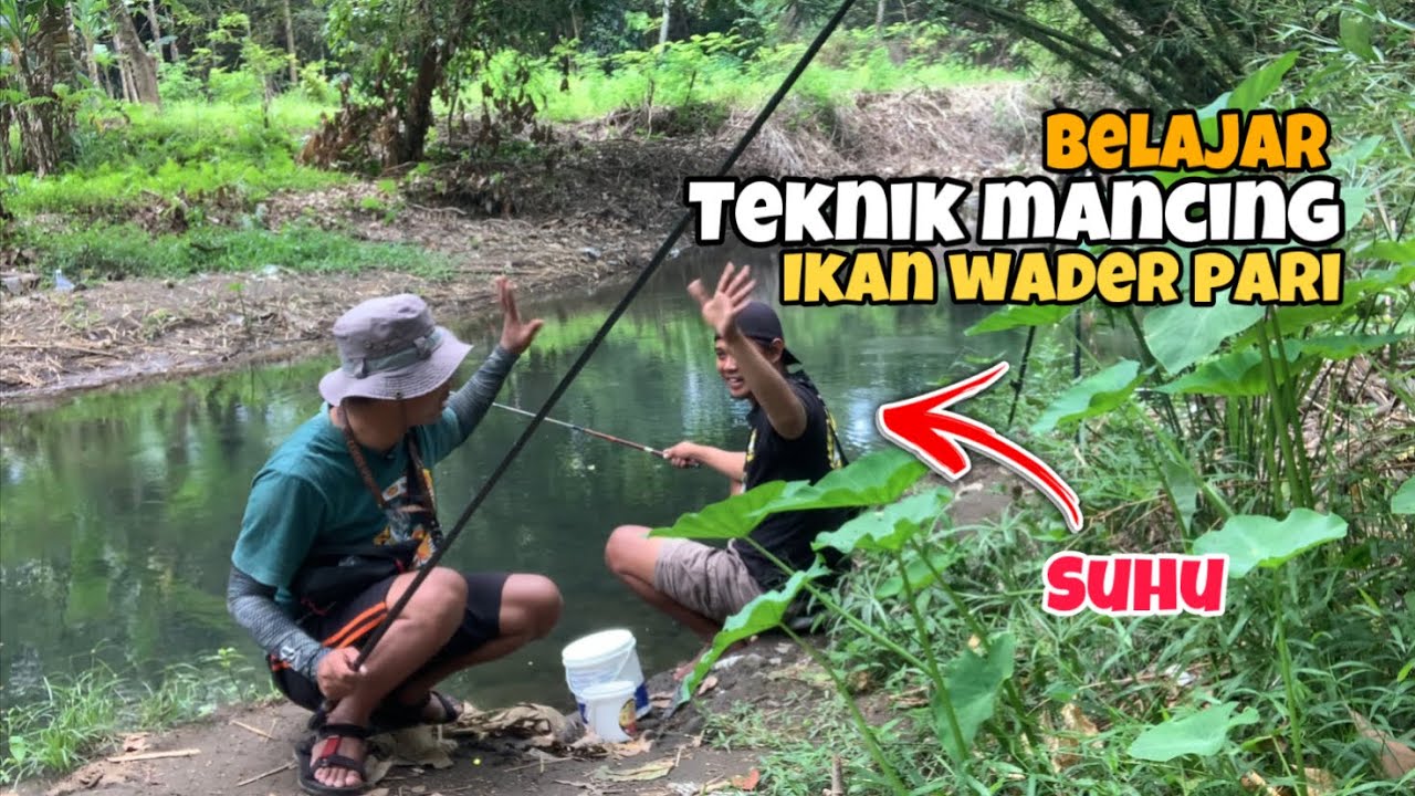 JOS GANDOS!!! Belajar teknik memancing wader pari - Micro Fishing - YouTube