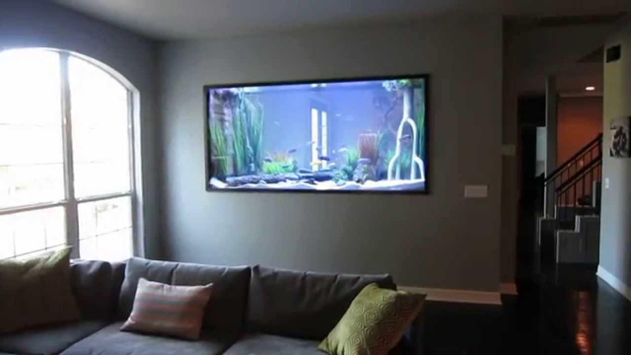 Fish Gallery Install - 700 Gallon Aquarium - YouTube