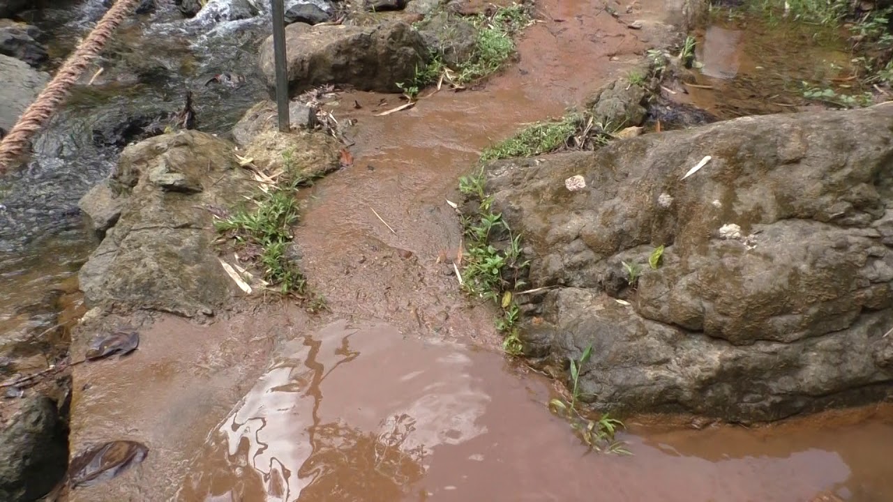 Suva, Fiji - Navua River by Longboat Tour #12 - Regent Cruise - 11 Jan ...