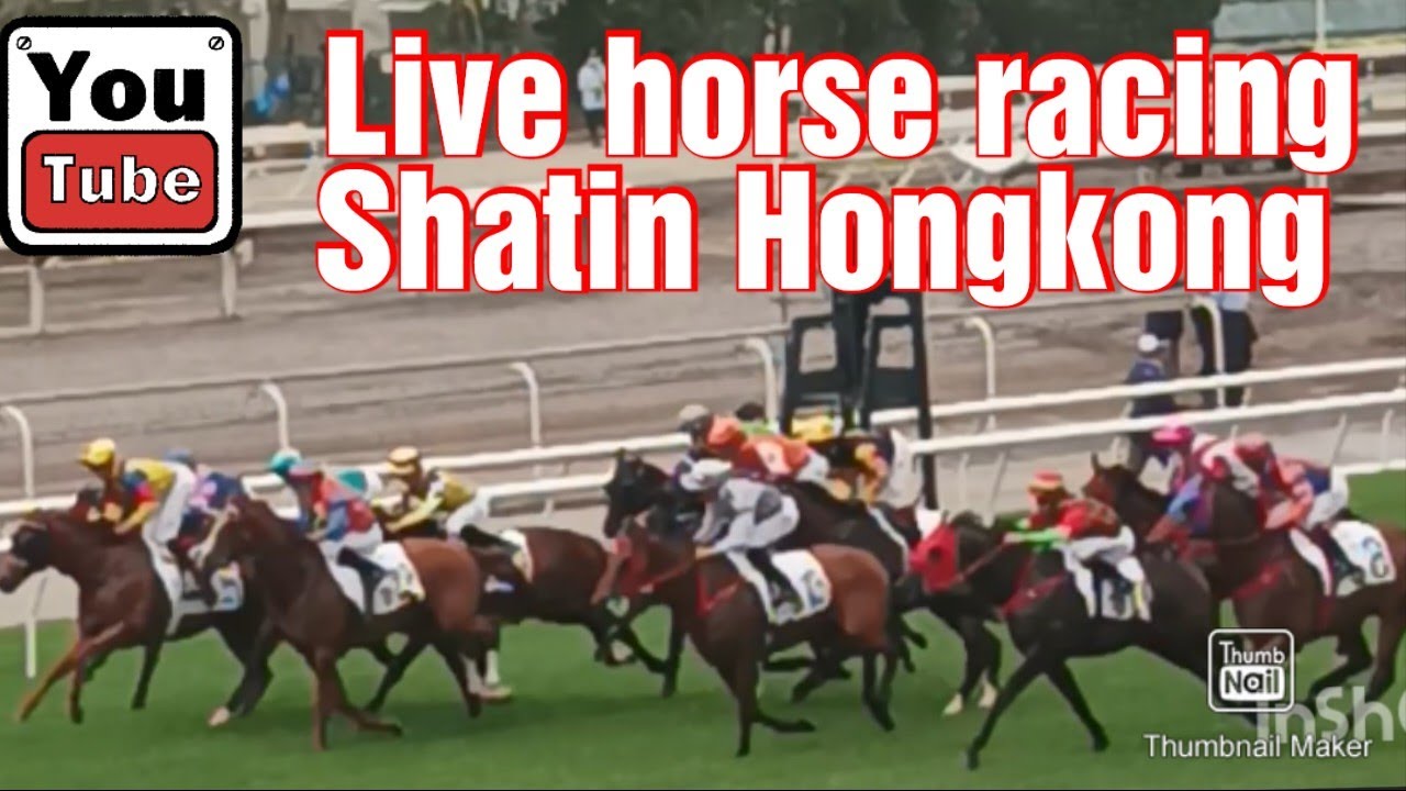 Atlast I manage to watch live horse racing at this moment #horseracing ...
