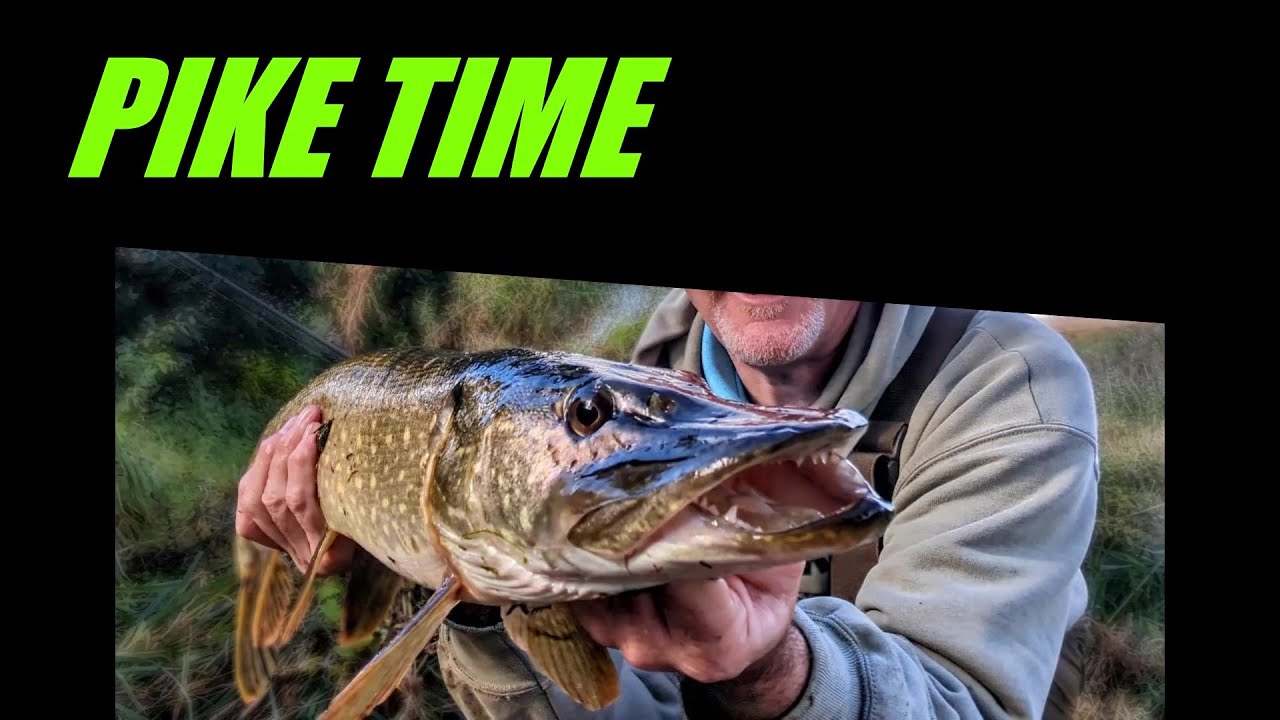 Pike fishing UK : Pike season 2024 opener - YouTube