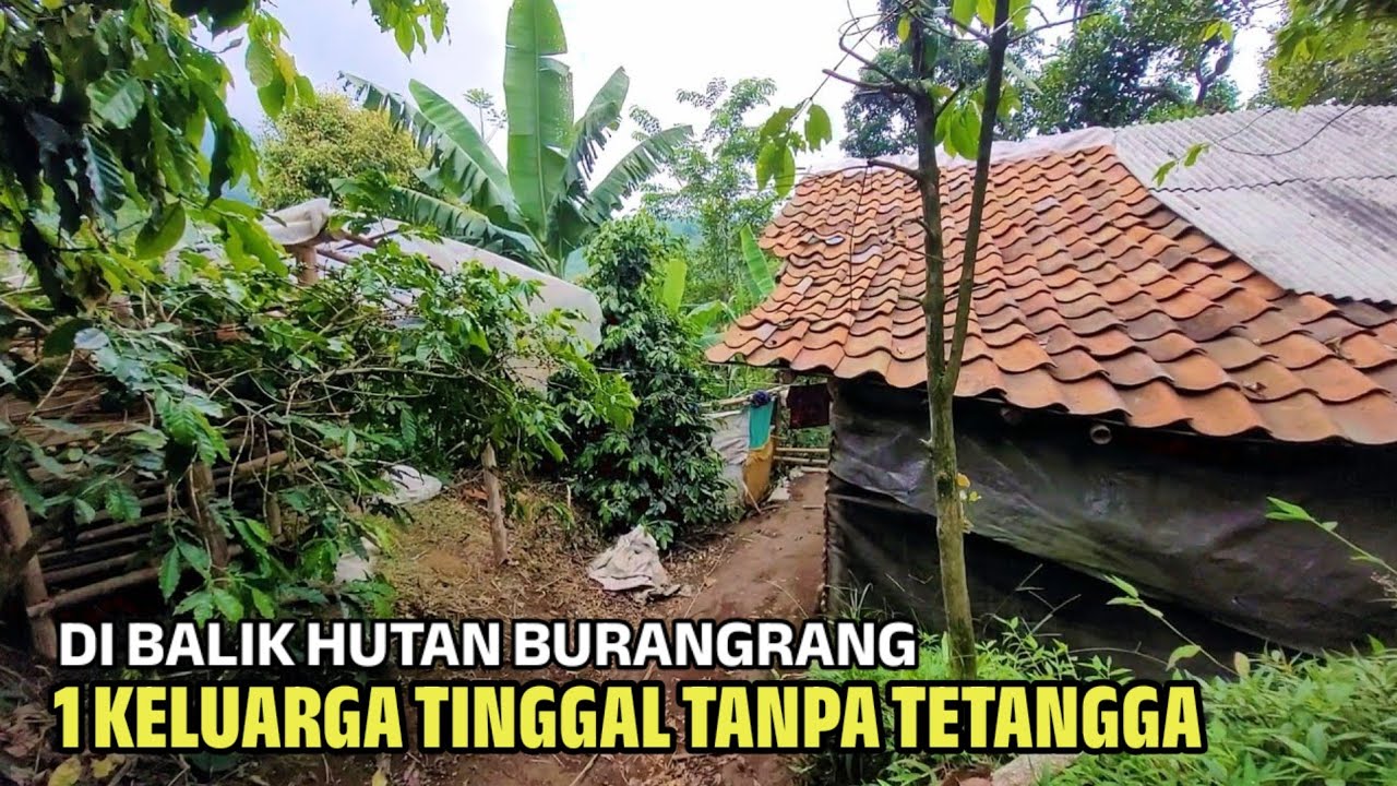 Wow...!!! NEKAD PULUHAN TAHUN 1 KELUARGA TINGGAL DI TENGAH HUTAN GUNUNG ...