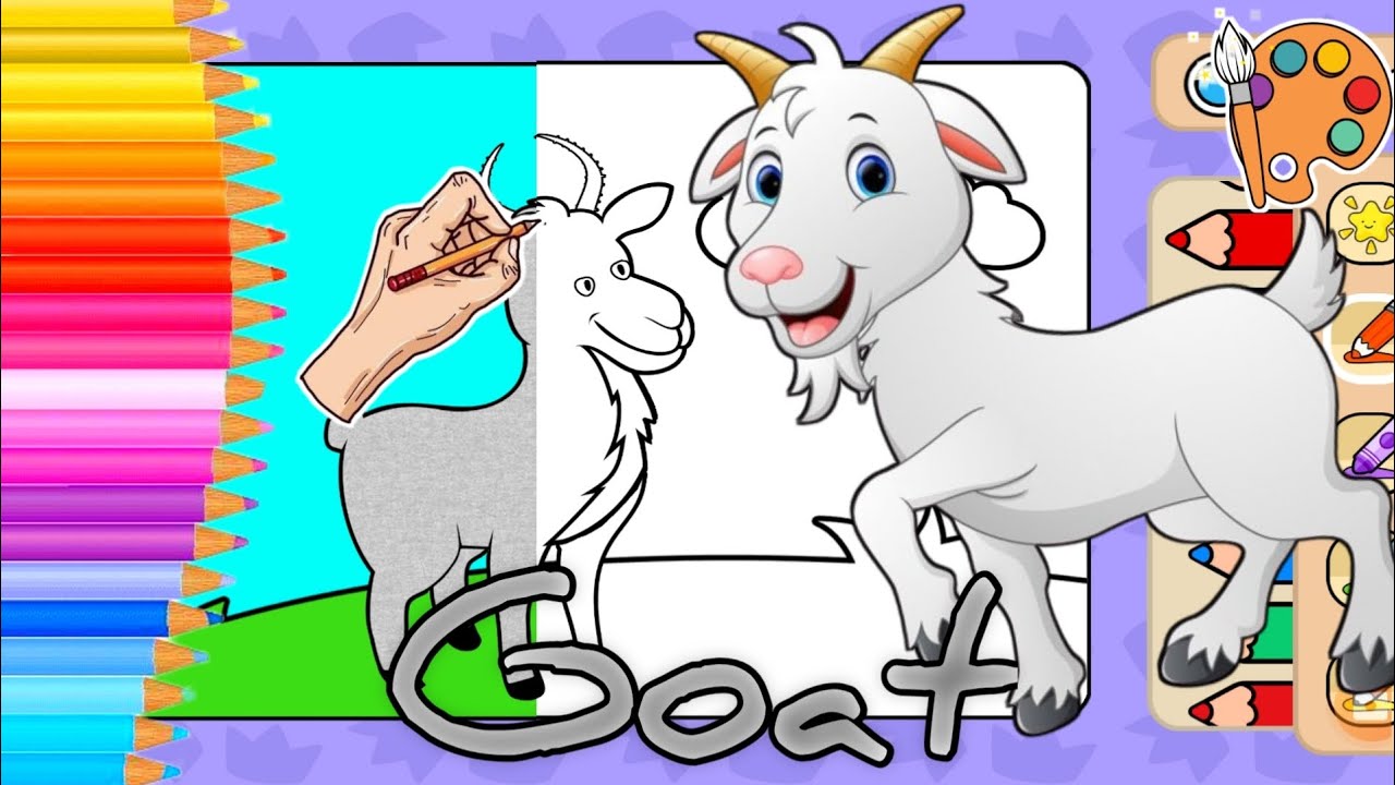 Mewarnai Kambing | Mewarnai Kambing Anak Tk | how to draw, goat - YouTube