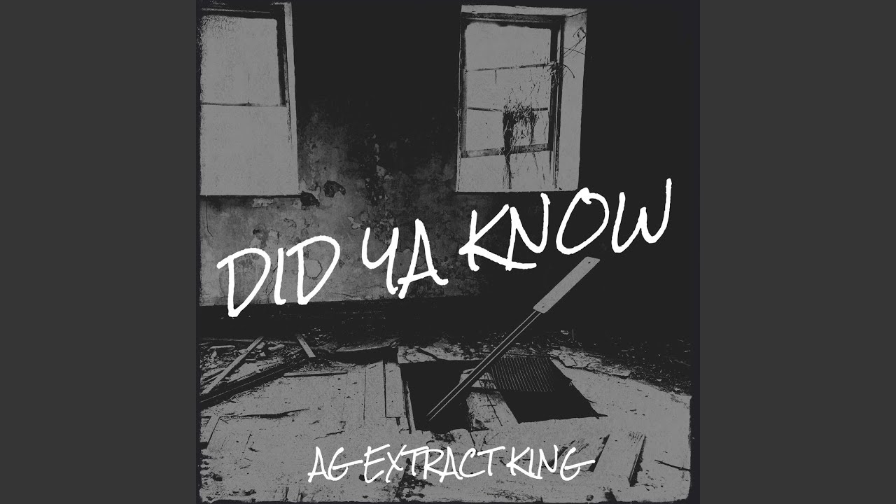 Did Ya Know - YouTube