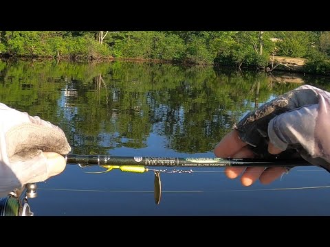 Legend Elite Panfish Rod Test (in-line spinner, 6'9" Light Fast) - YouTube