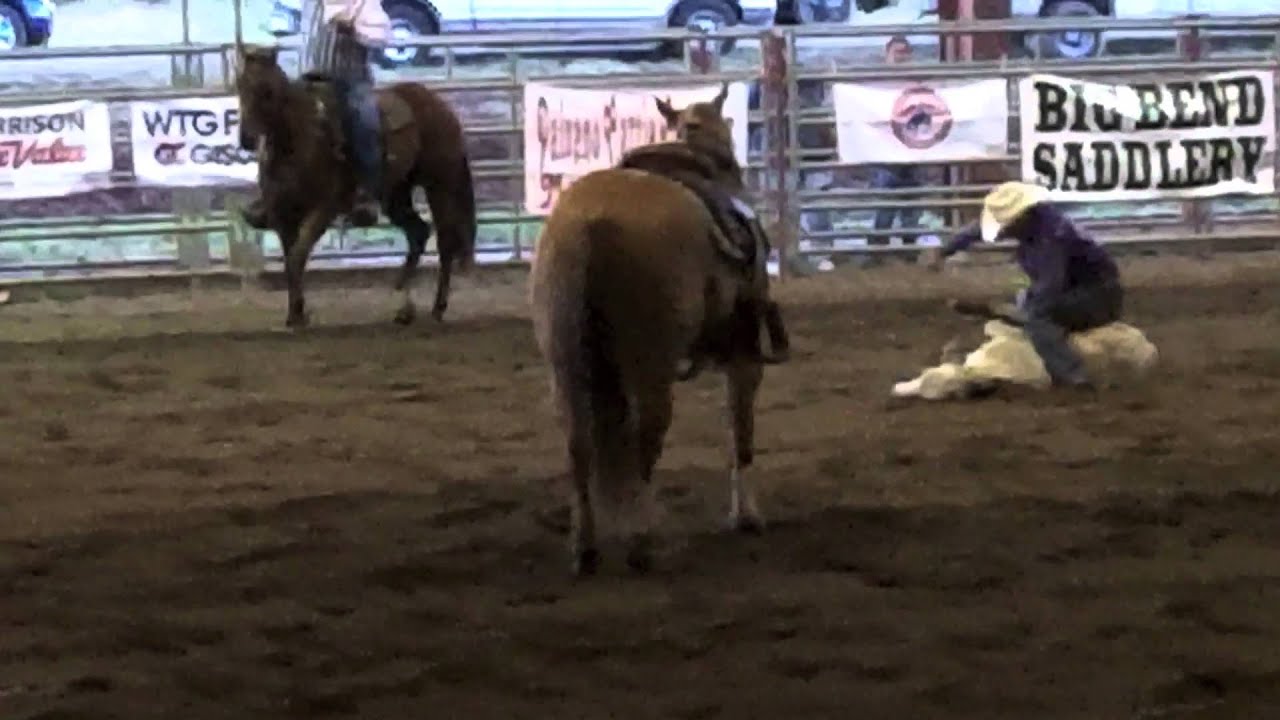Tarleton State University Rodeo Team Fall 2012 Highlight Reel - YouTube