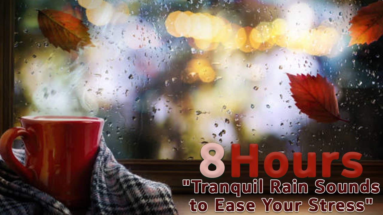 Tranquil Rain Sounds to Ease Your Stress - YouTube