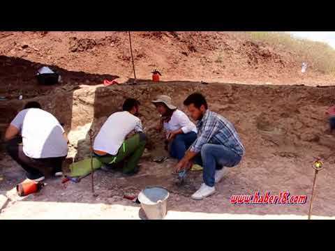 Çankırı 8.5 Milyon Fosiller